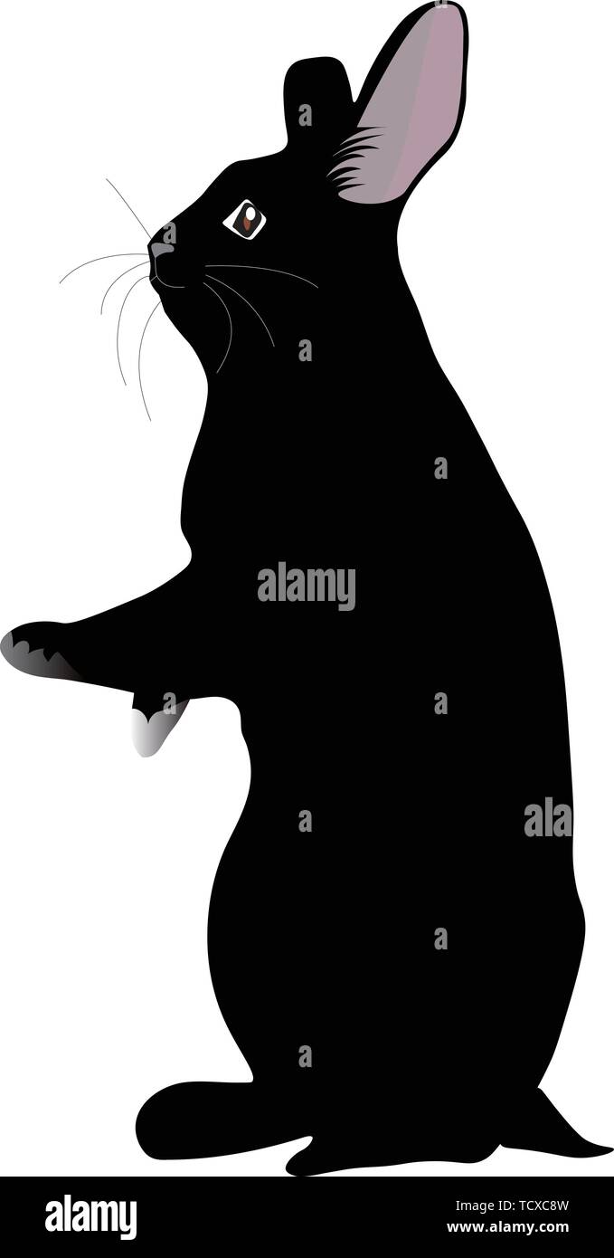 Standing Rabbit Silhouette