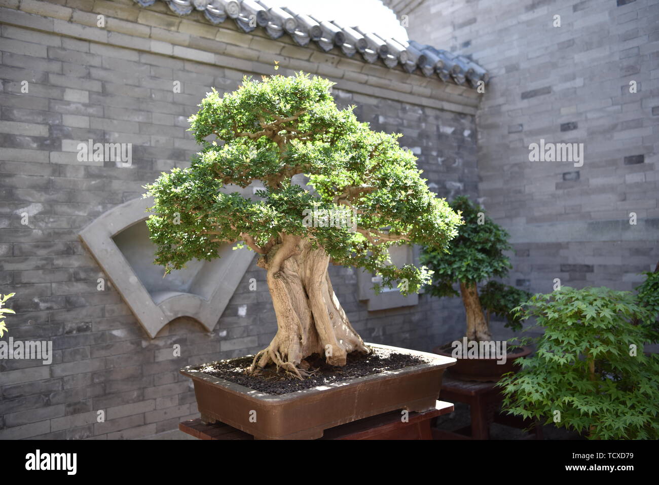 Photographed at Beijing World Park on April 30, 2019. The design of the ...