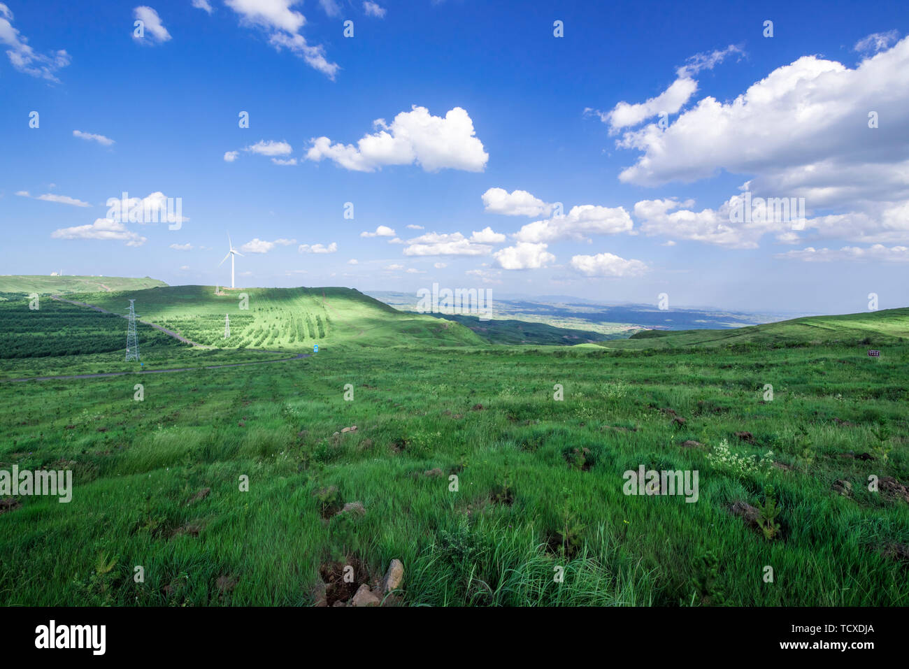Steppe grassland china hi-res stock photography and images - Alamy