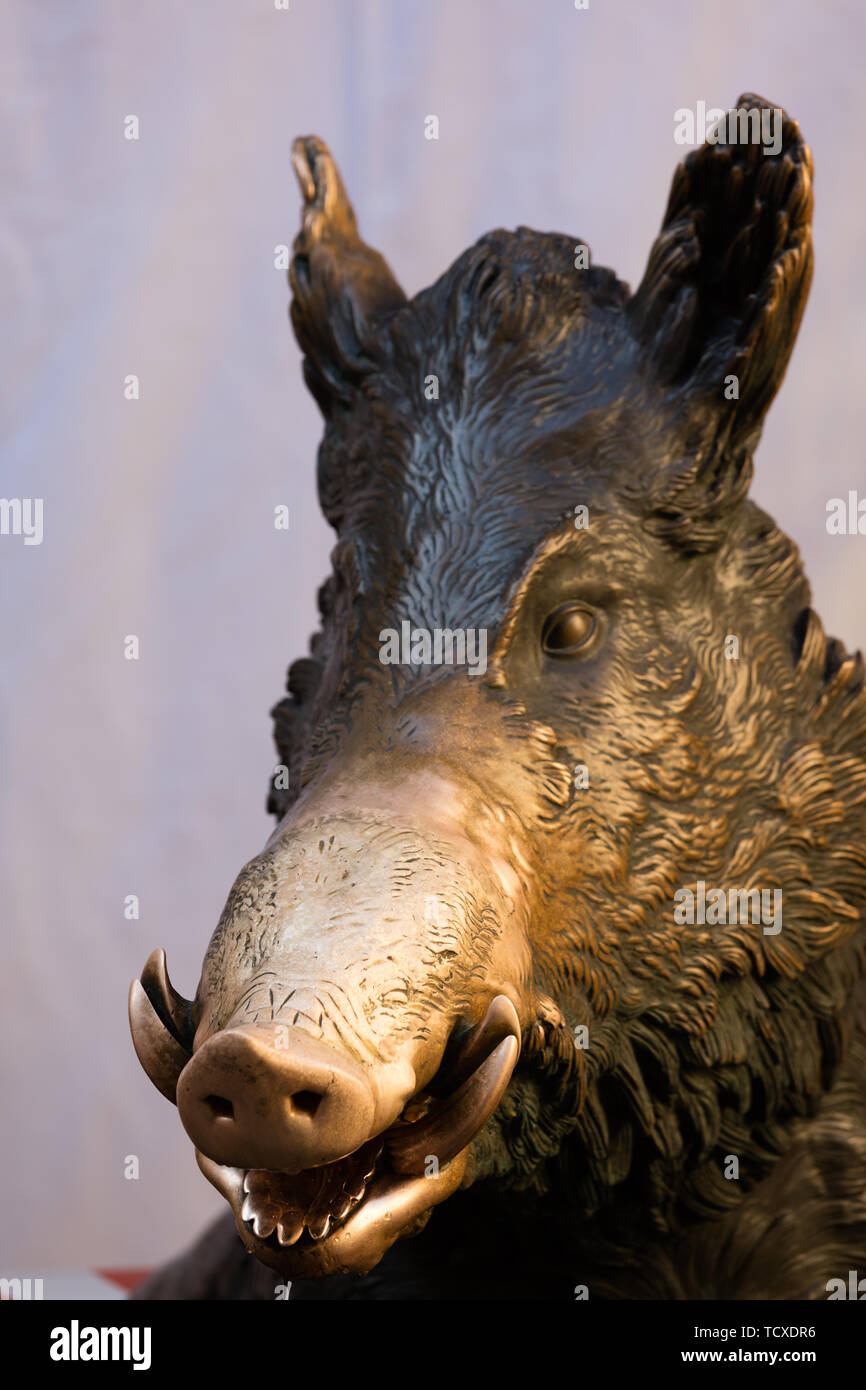 Front view of famous pig's fountain in Florence Stock Photo - Alamy