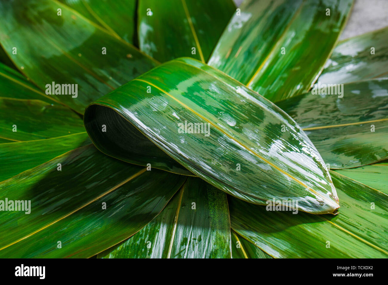 Ruo leaf is a traditional ingredient, is one of the most primitive and ...