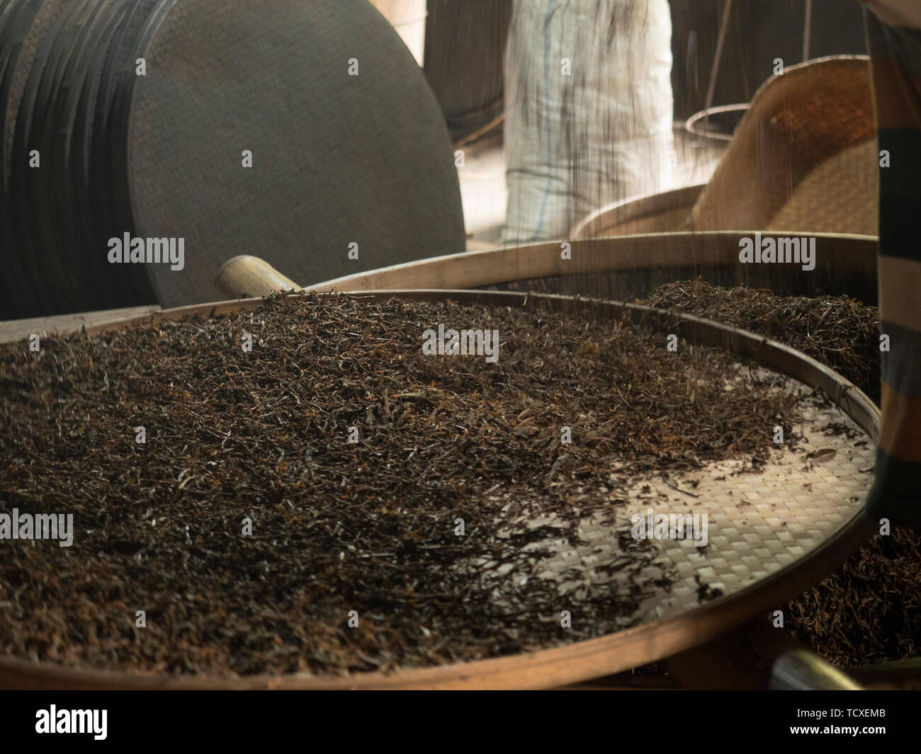 Black tea making Stock Photo - Alamy