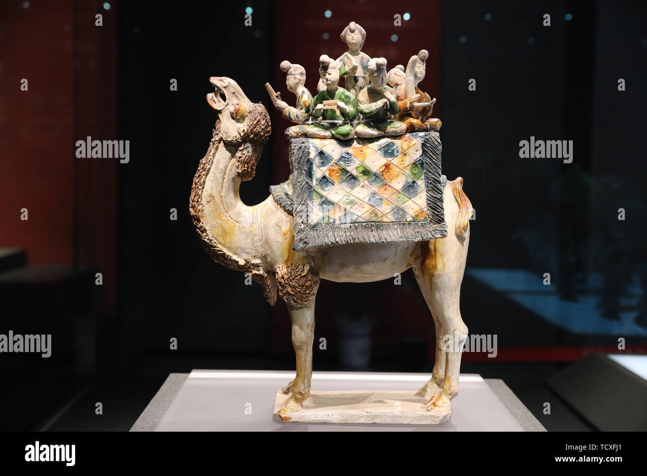 Tang Camel High Resolution Stock Photography and Images - Alamy