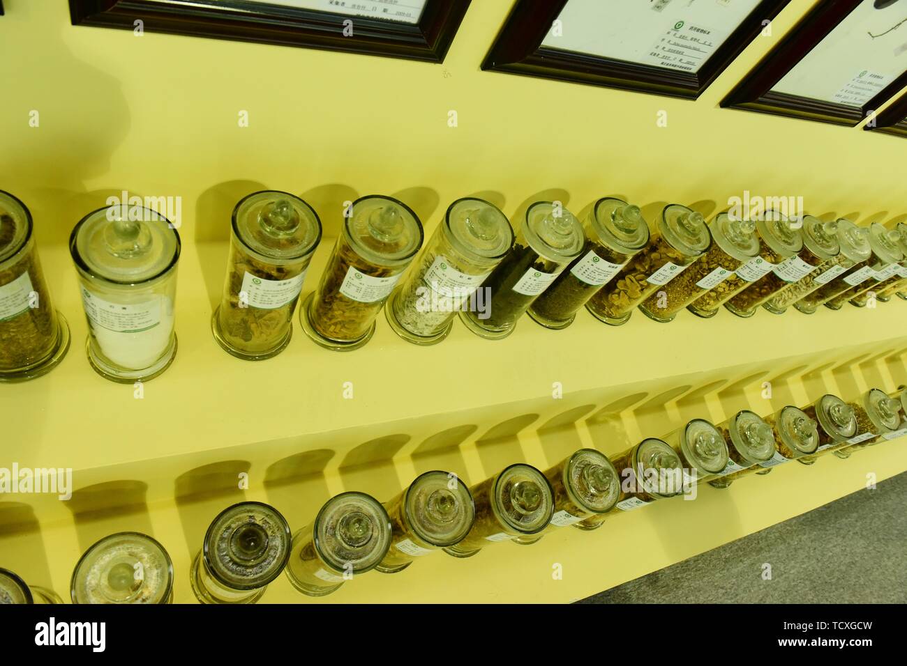 Chinese herbal plant specimens Stock Photo - Alamy