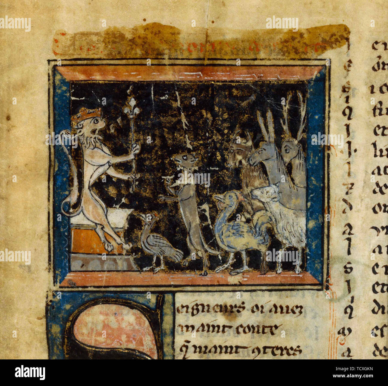 Roman de renart hi-res stock photography and images - Alamy