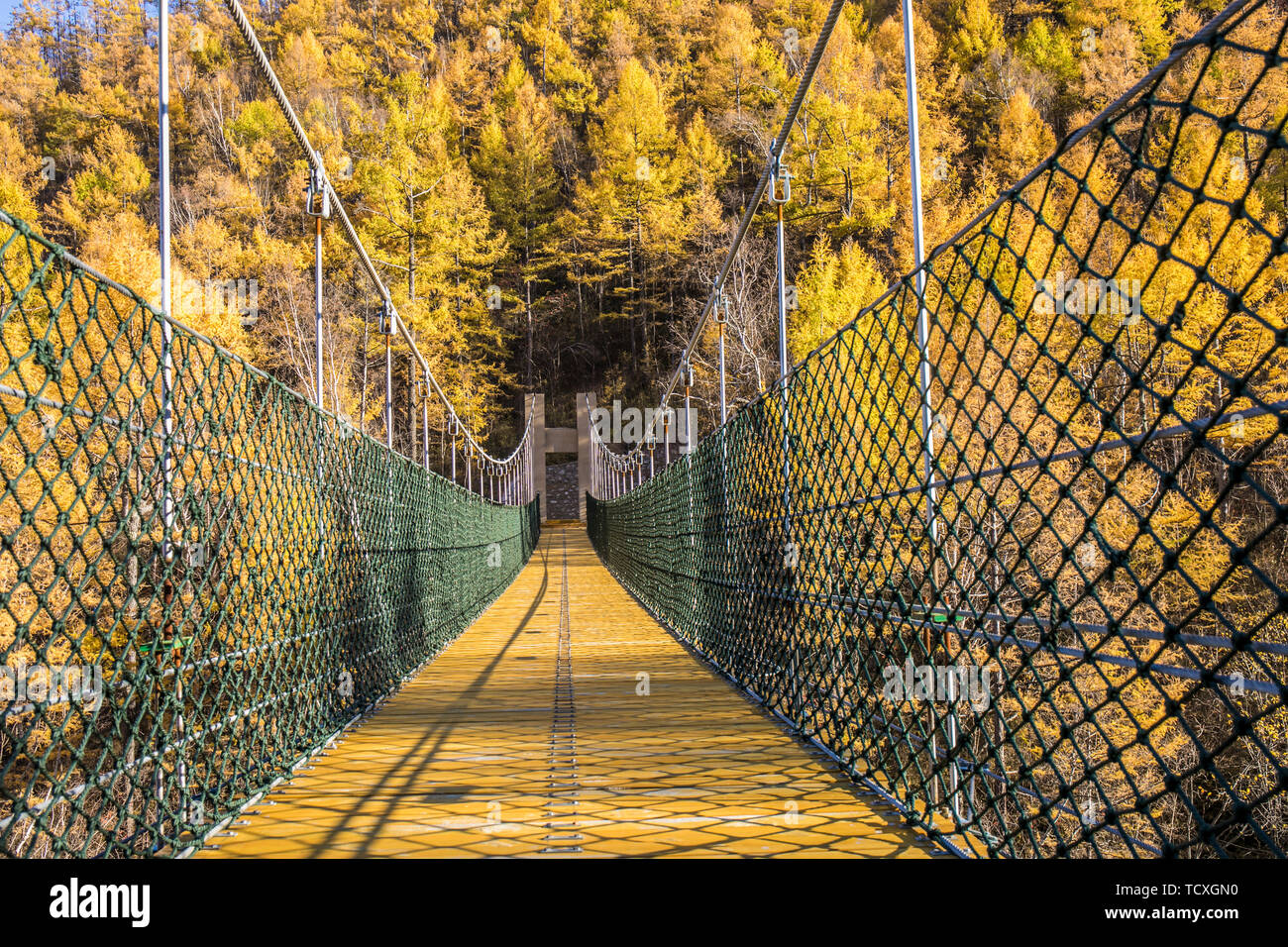 Alshan National Forest Park High Resolution Stock Photography and ...