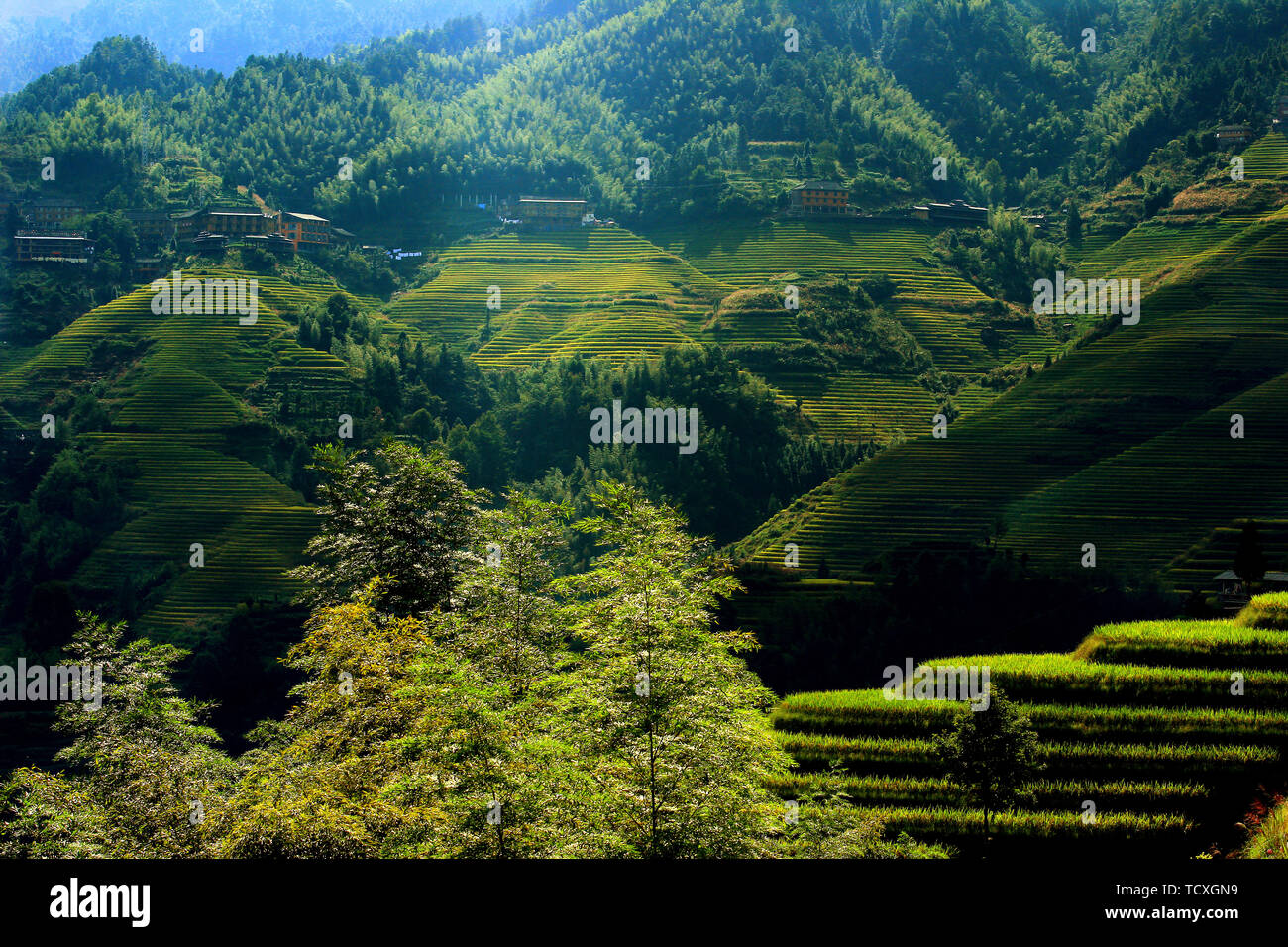 Green dragon ridge High Resolution Stock Photography and Images - Alamy