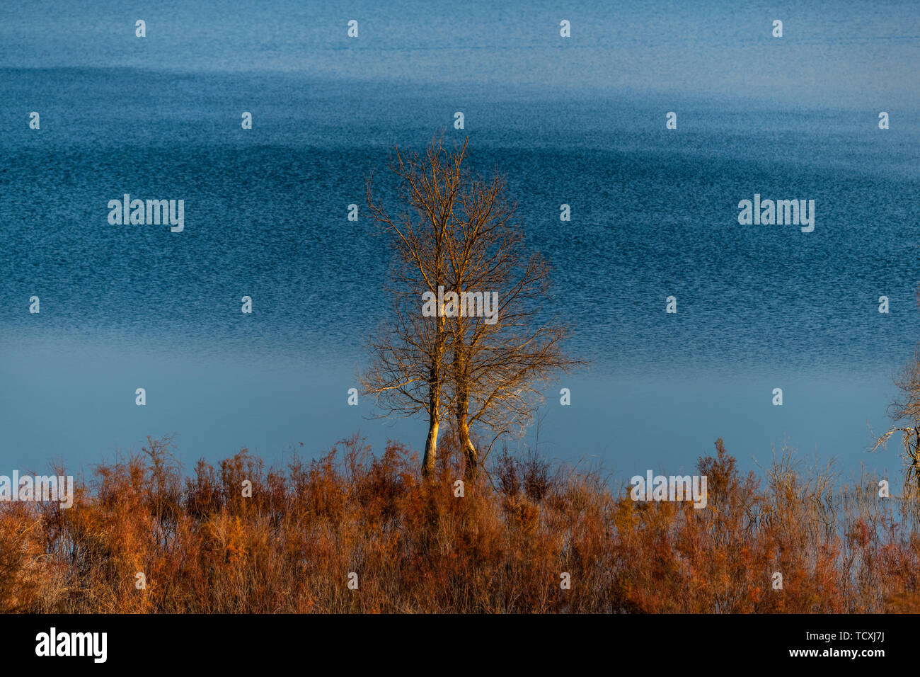 Yang fog hi-res stock photography and images - Alamy