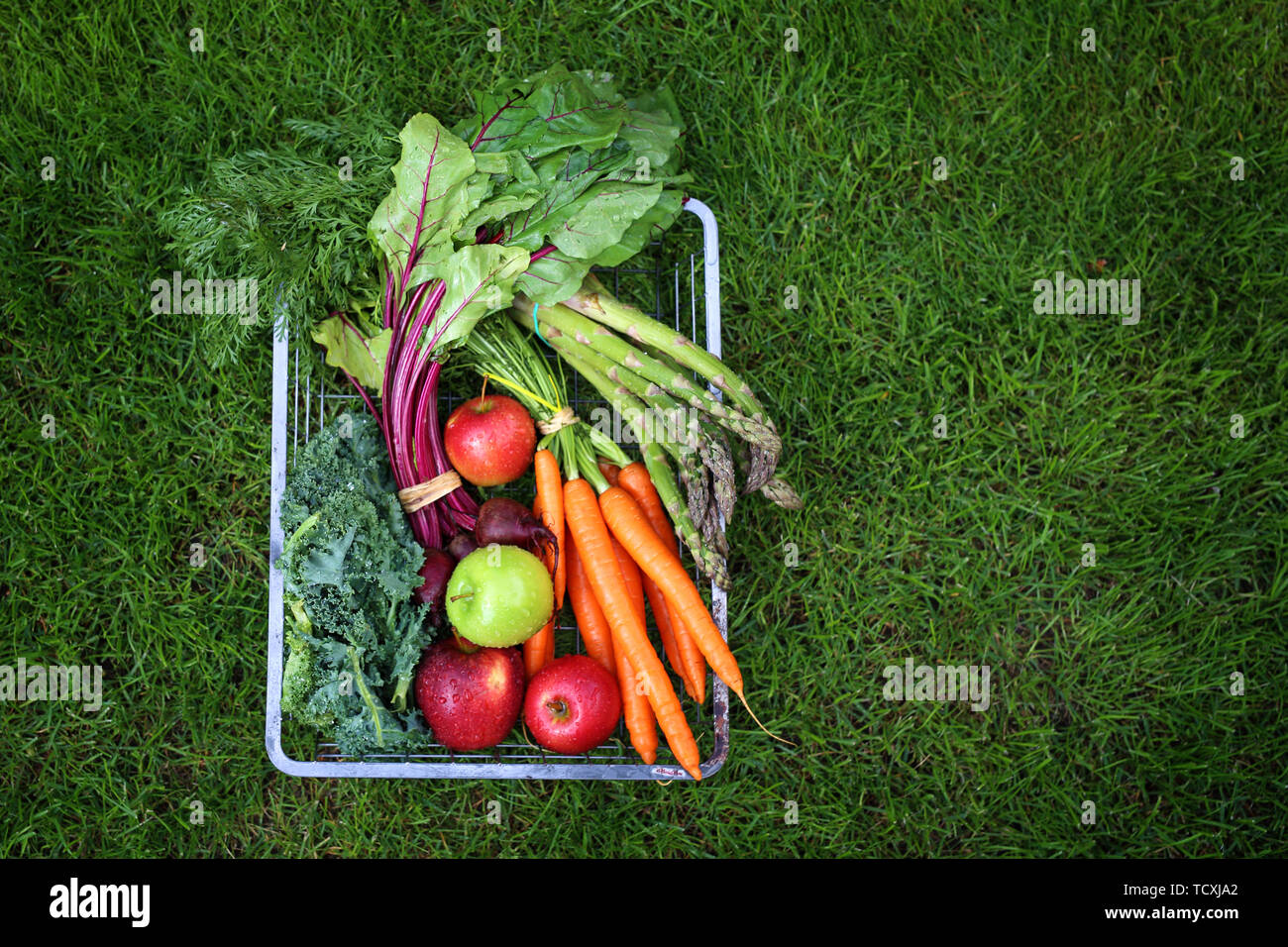 Basket of natural, colorful vegetables and fruits on green grass ...