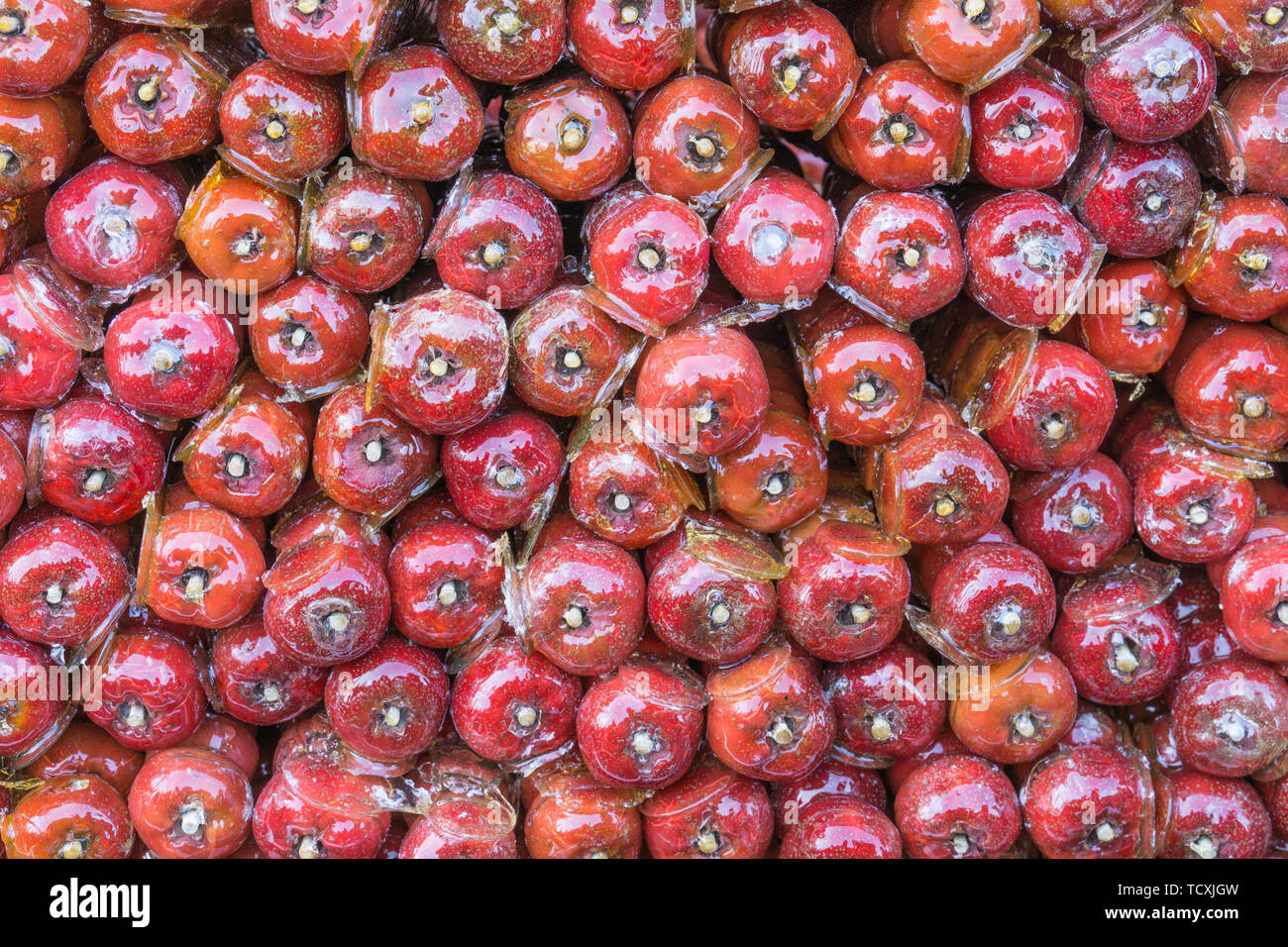 Chinese traditional snack ice sugar gourd close-up Stock Photo - Alamy