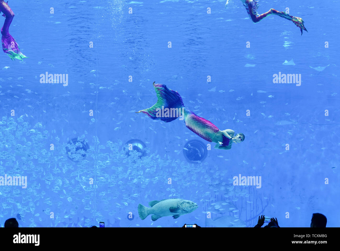 Mermaid performance at Haichang Ocean Park, Shanghai Stock Photo - Alamy