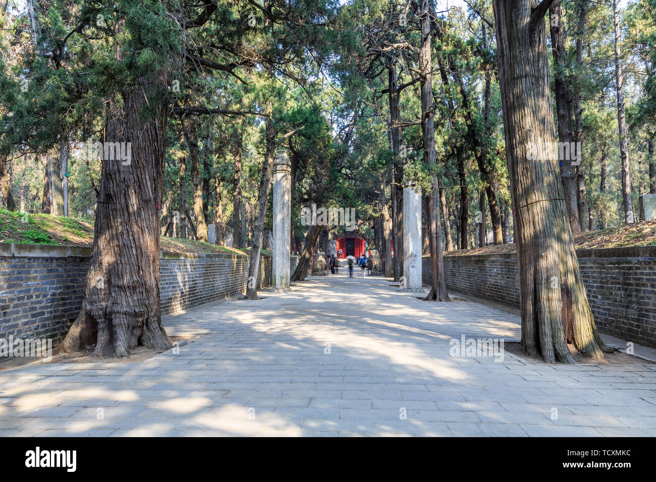 The Shinto Hall in the Confucius Forest in Qufu, Shandong Province ...
