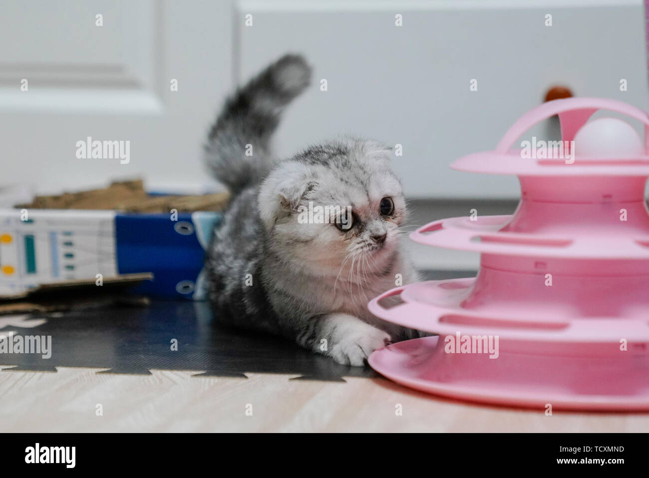 Baby ear fold hi-res stock photography and images - Alamy