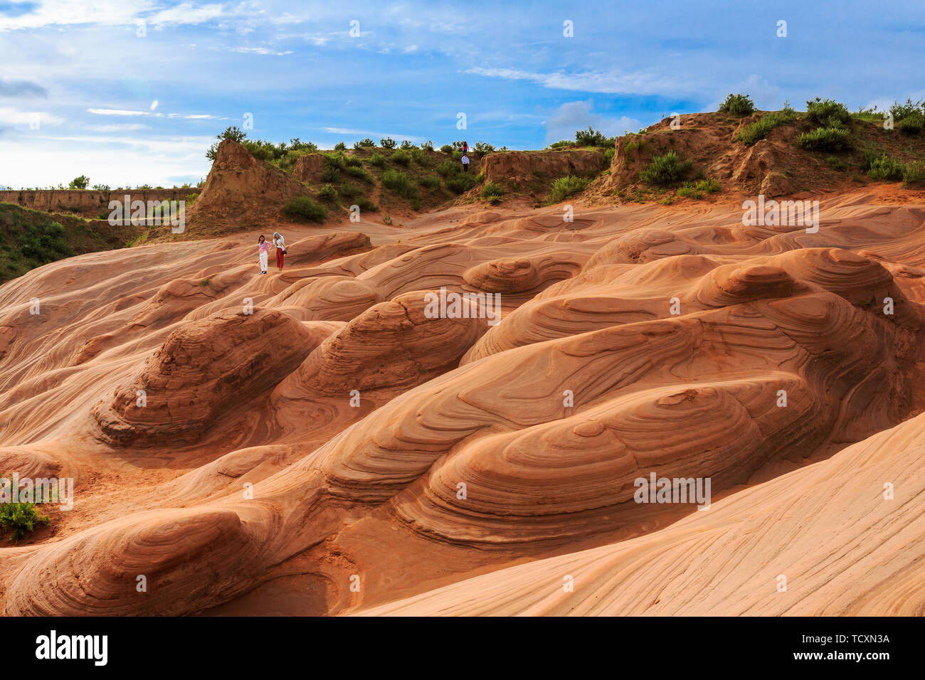 The Valley of the Danforth Stock Photo - Alamy
