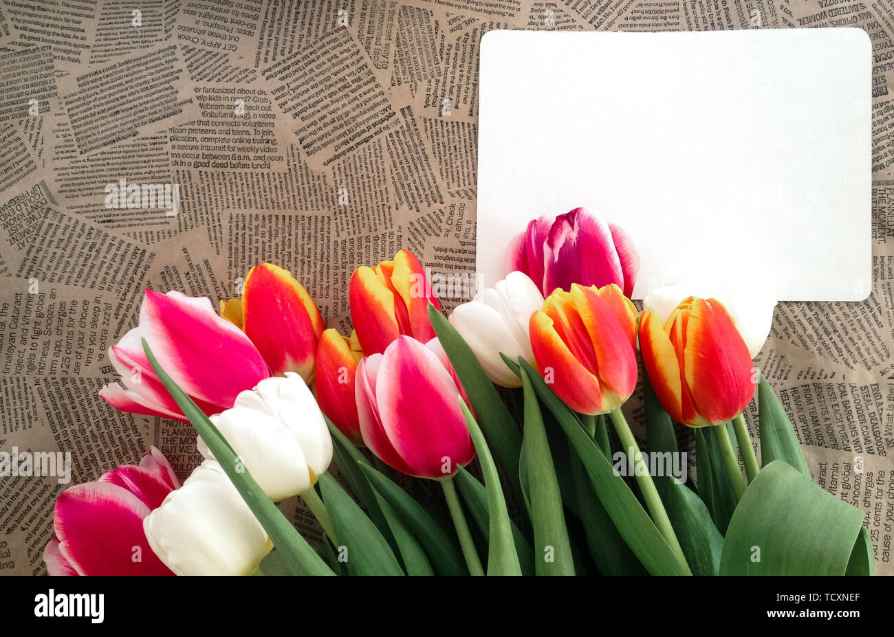 Tulips flowers bunch on Vintage newspaper background. Empty space for ...