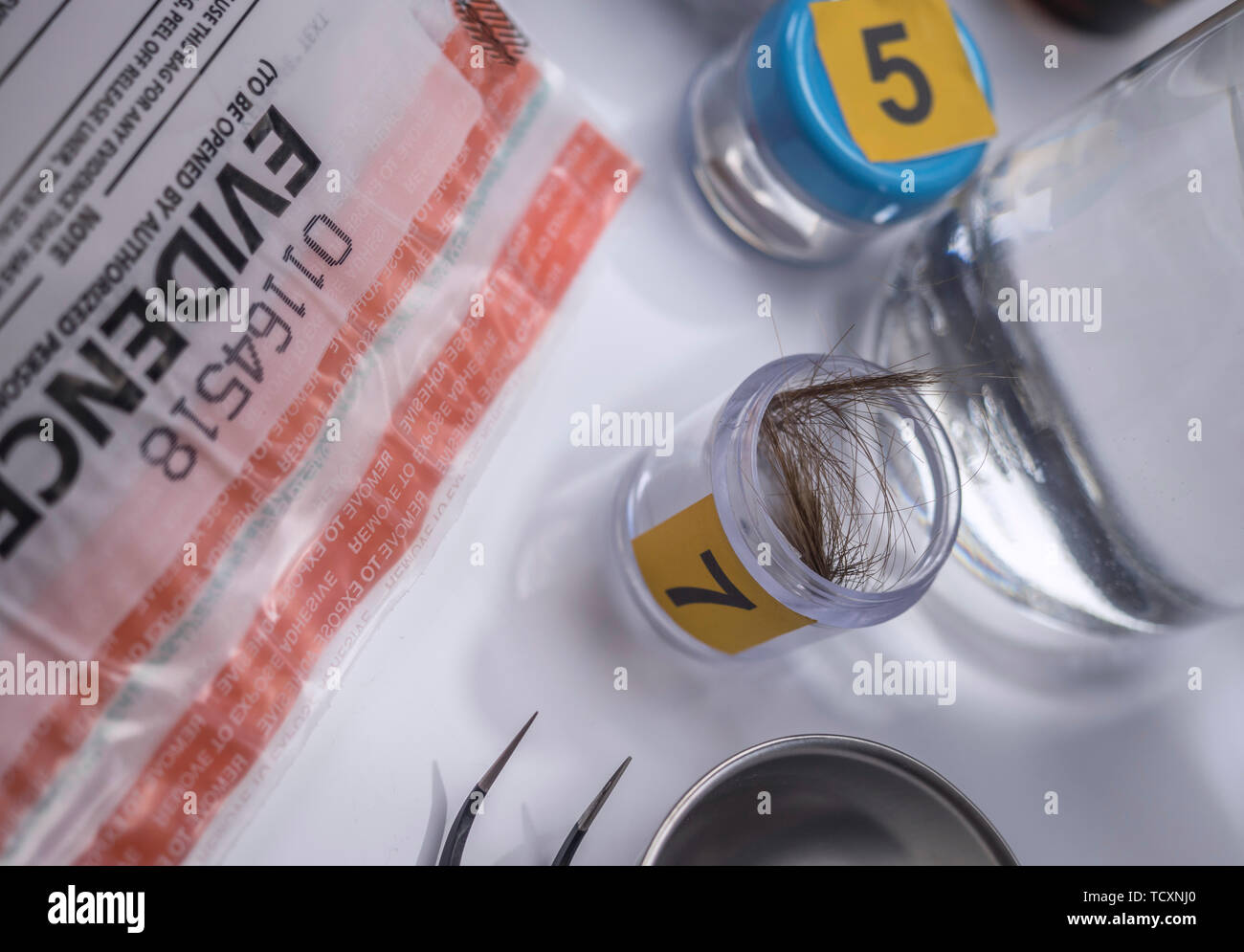 Criminalistic Laboratory, hair analysis, conceptual image Stock Photo ...