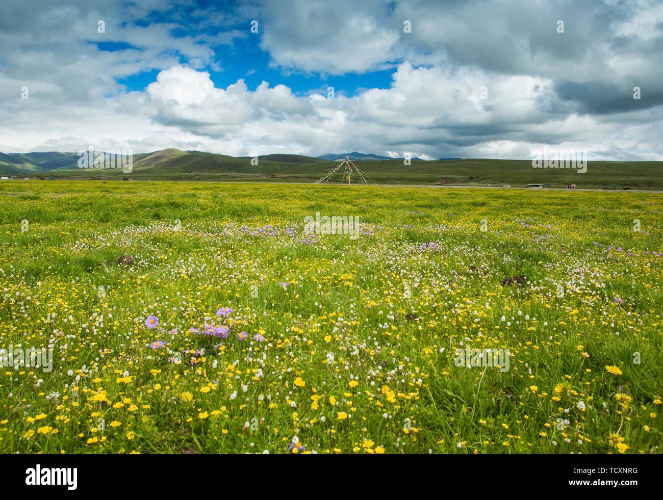 Hongyuan hi-res stock photography and images - Alamy