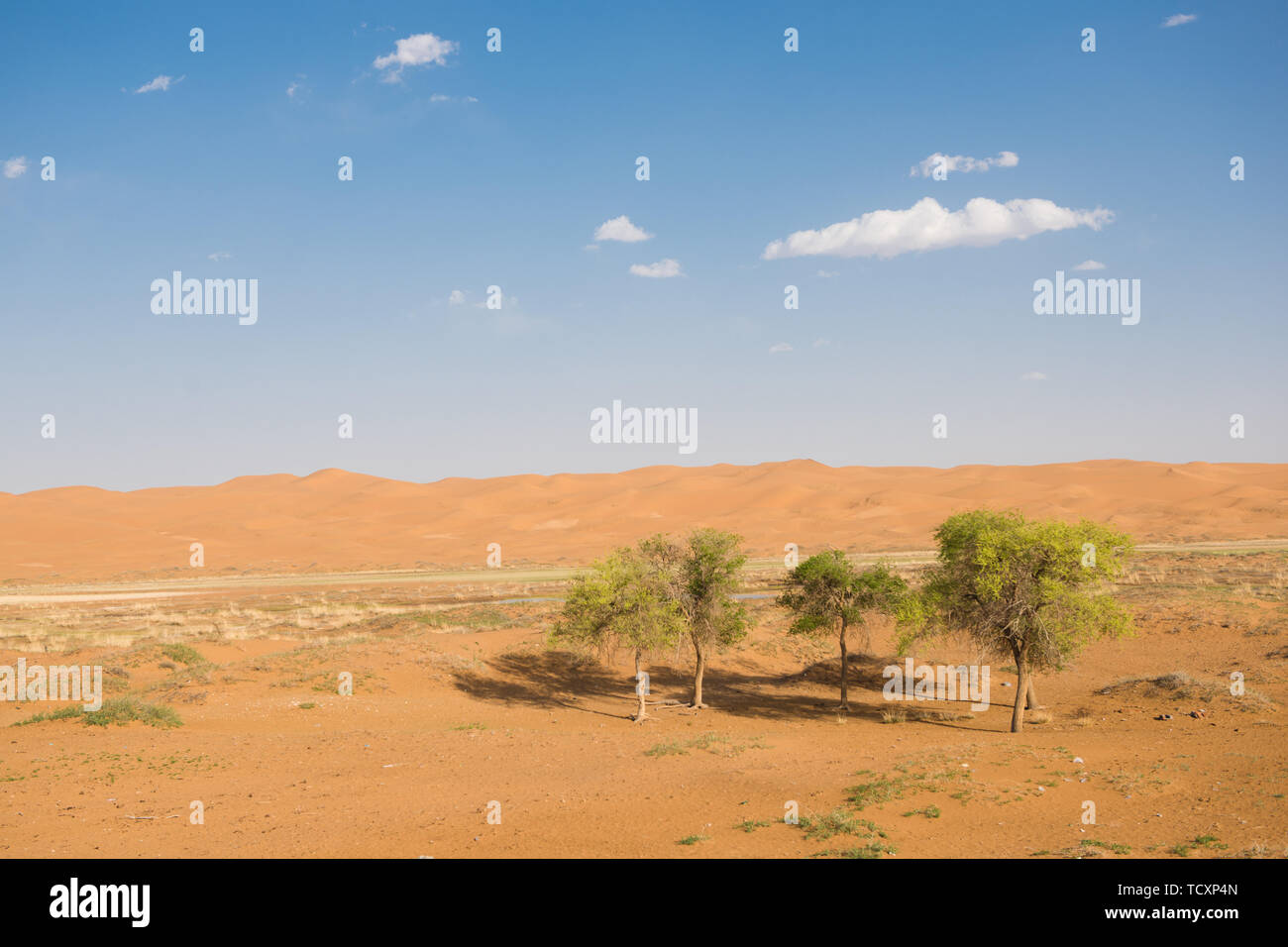 A tenacious life Stock Photo - Alamy