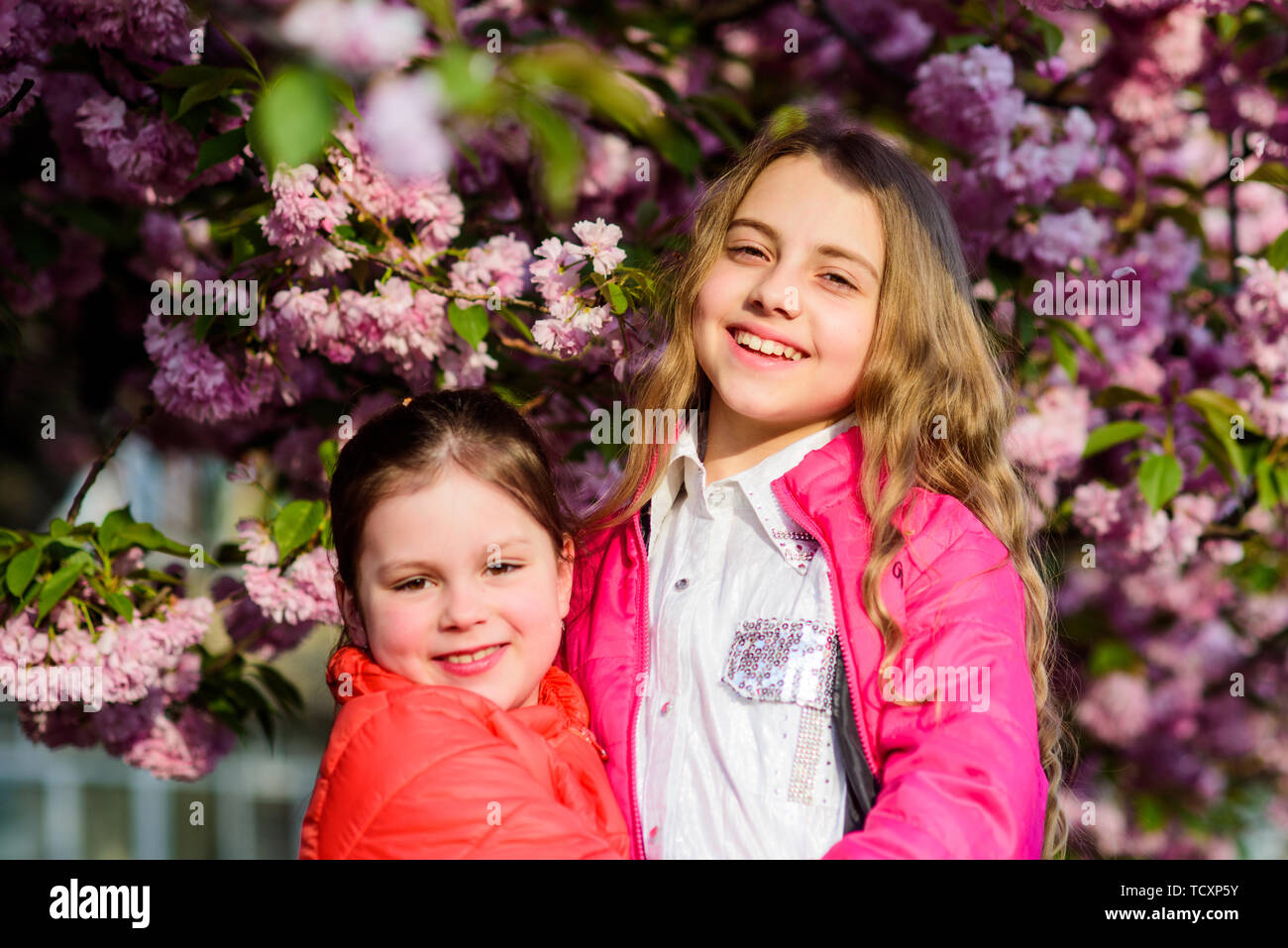 Pink is our favorite. Flowers soft tender bloom. Children enjoy spring ...