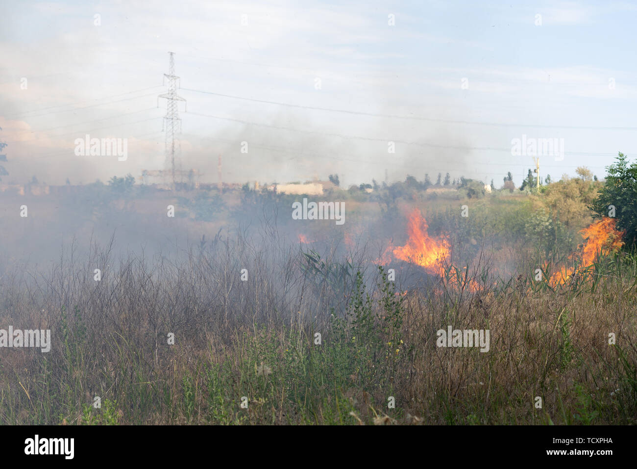 Forest fire Burning dry grass. Summer, drought Stock Photo - Alamy