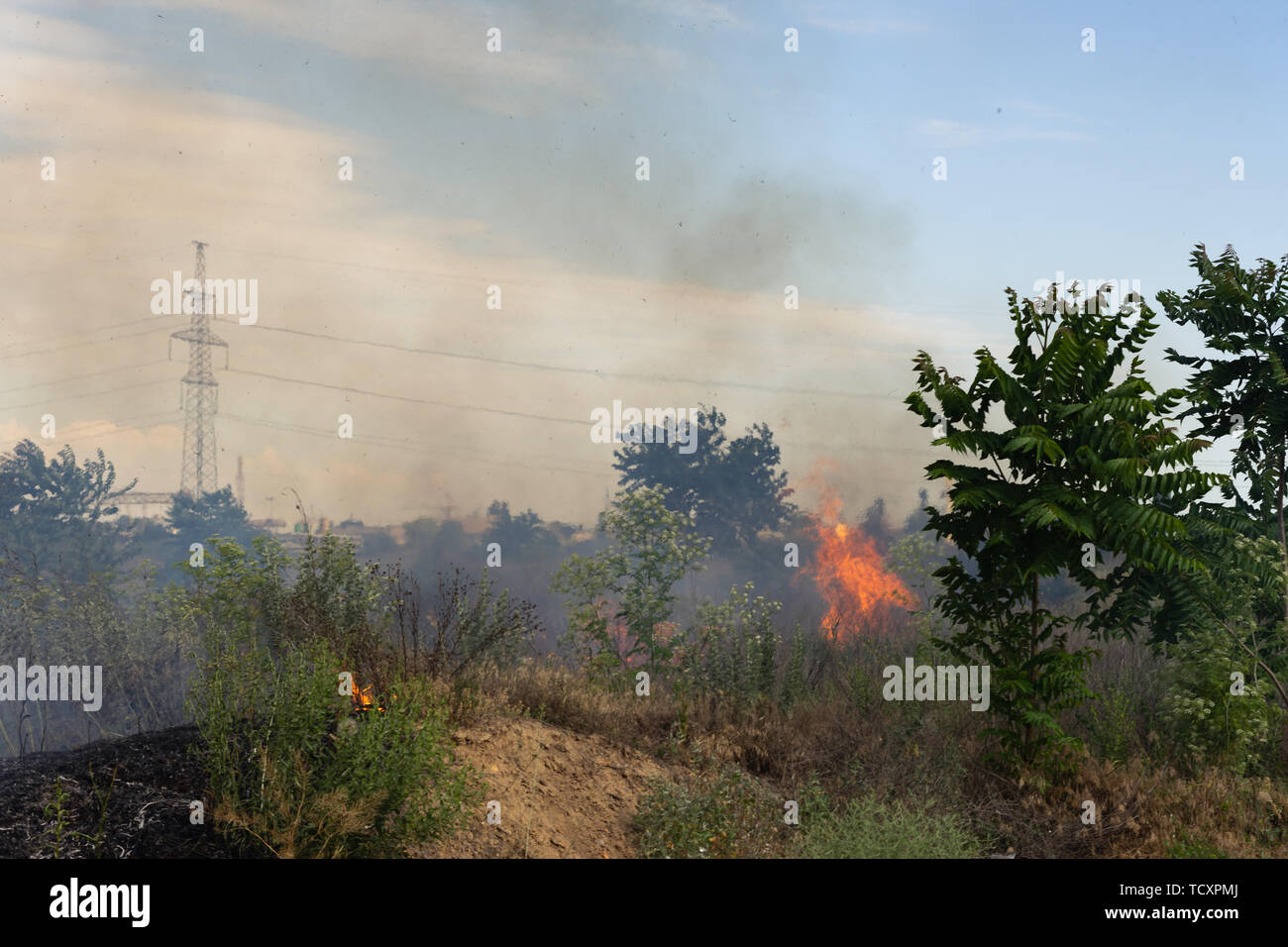 Forest fire Burning dry grass. Summer, drought Stock Photo - Alamy