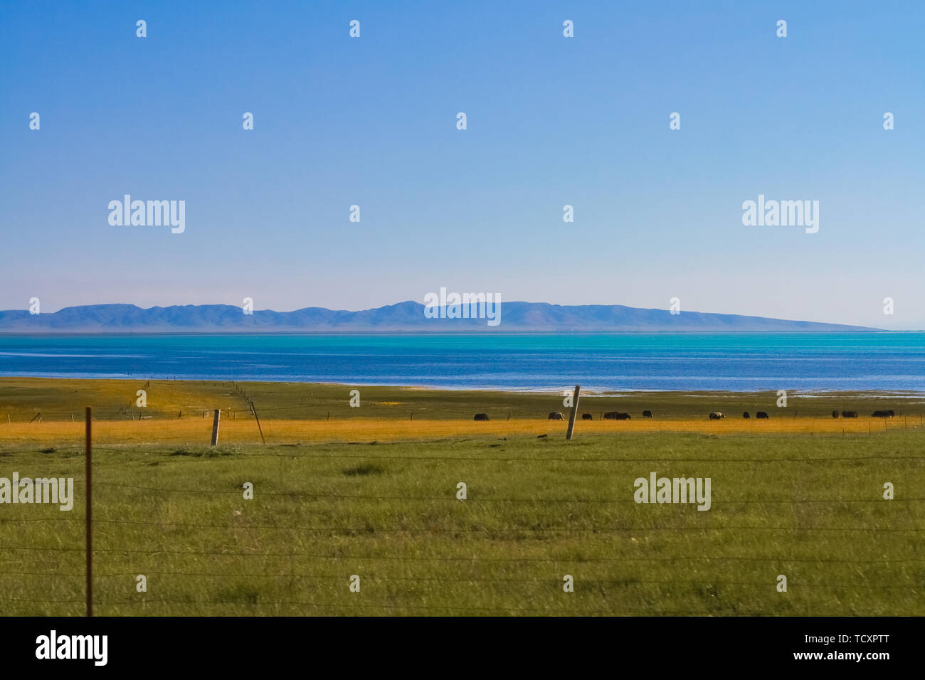 Qinghai travel scenery Stock Photo - Alamy