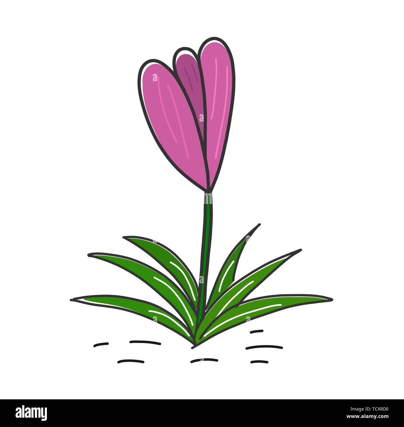 Purple crocus flower icon. Vector illustration Stock Vector Image & Art ...