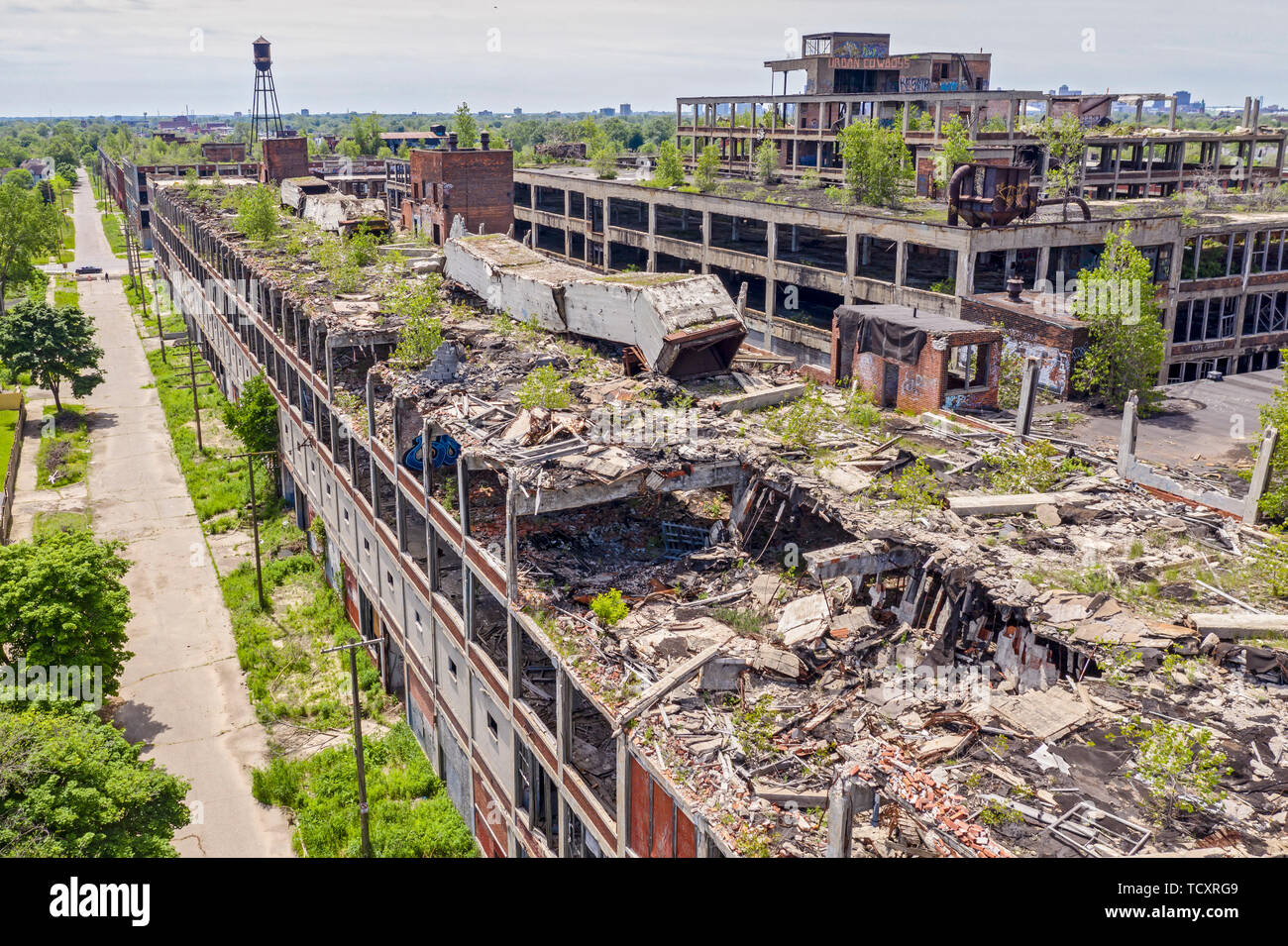 Detroit, Michigan - A forest of trees grows on the roof of the old ...