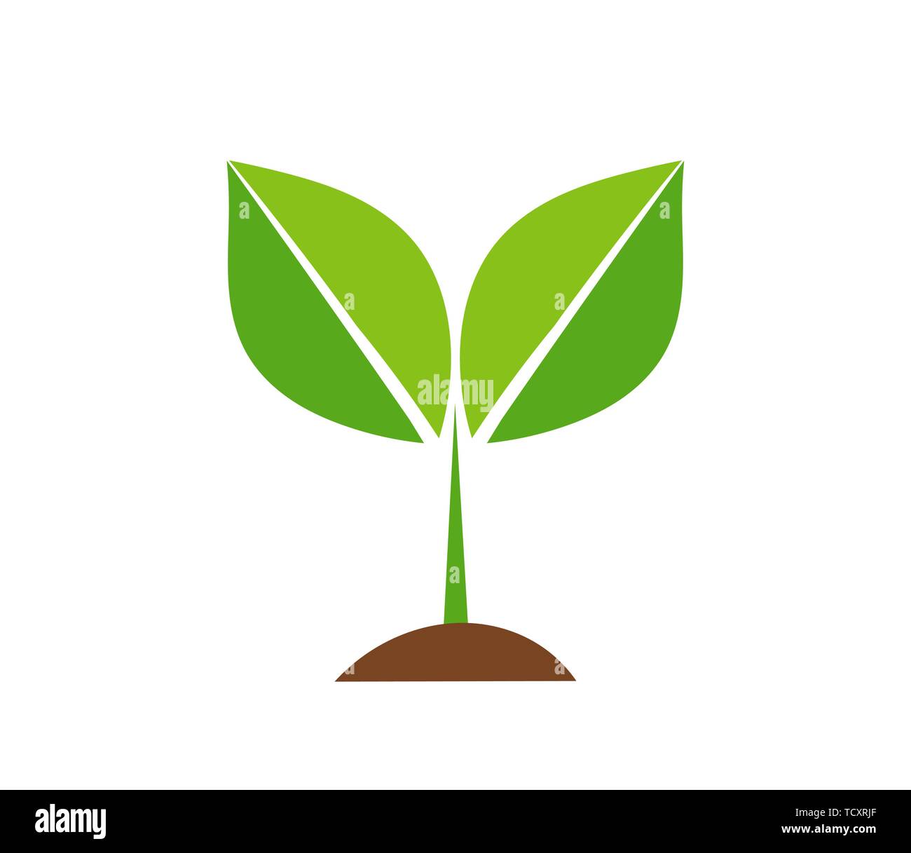 Young spring plant sprouting Stock Vector Images - Alamy