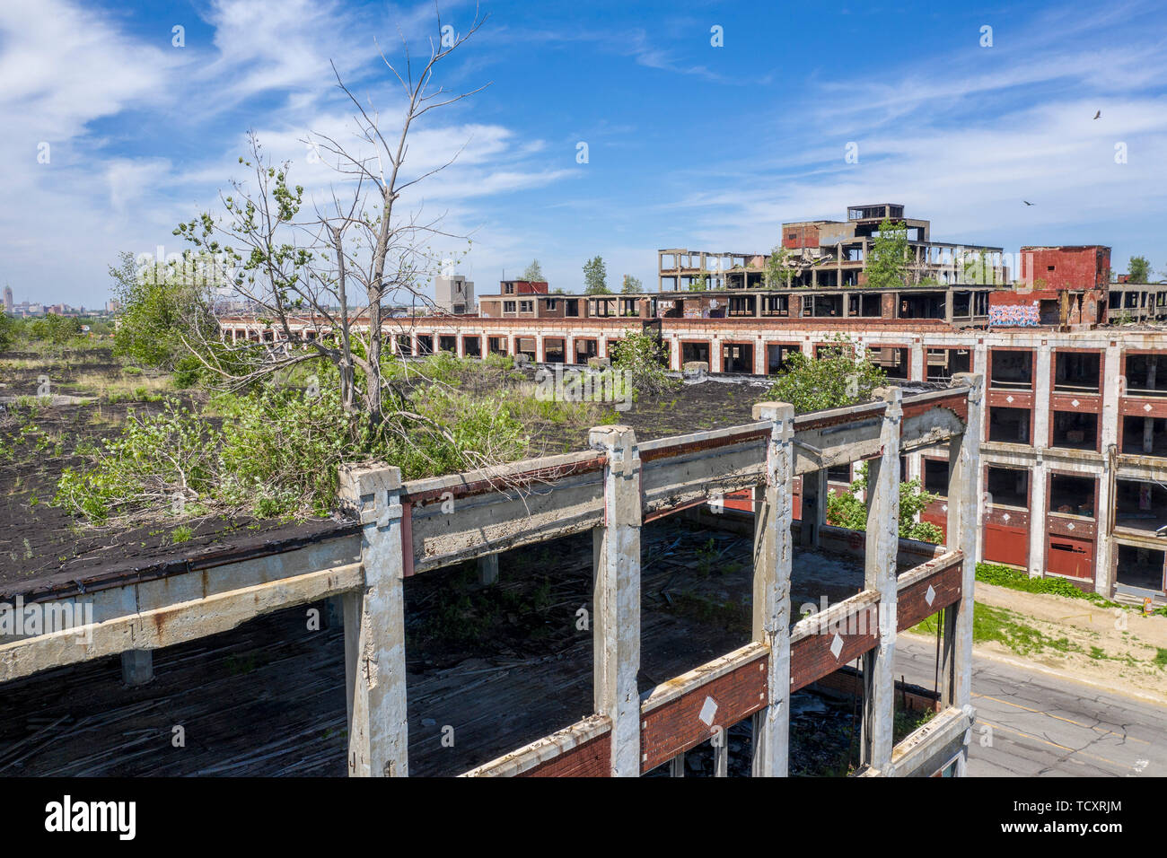 Detroit, Michigan - Trees line the roof of the old Packard plant ...