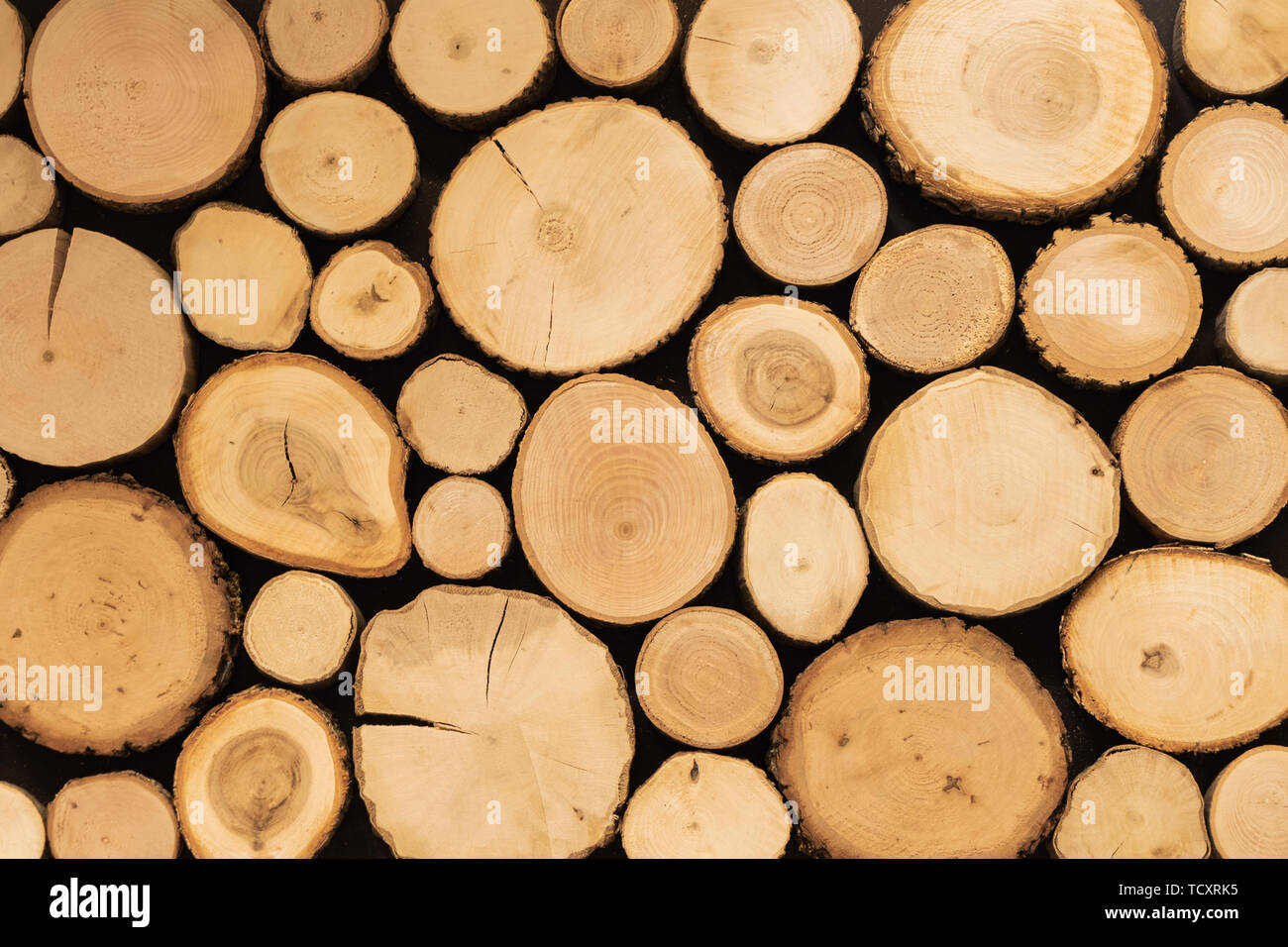 Creative background of transversely cut tree trunks. Natural wood ...