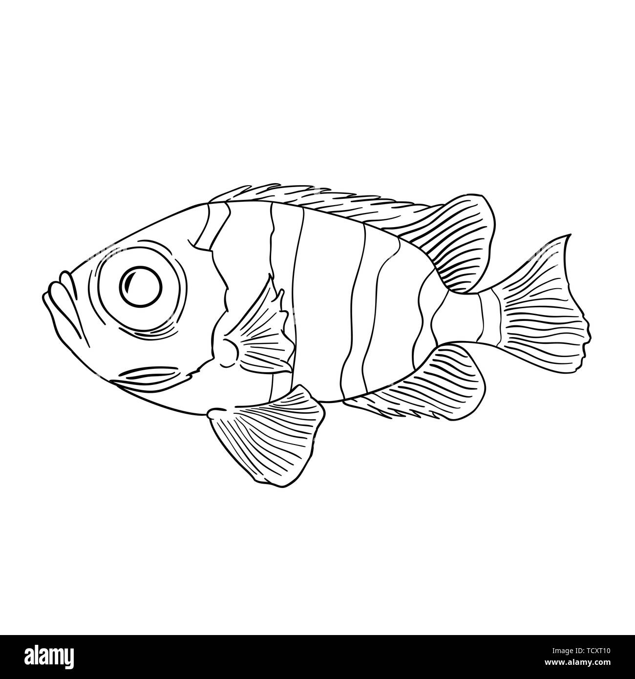 Coloring book for children, fish Stock Vector Image & Art - Alamy
