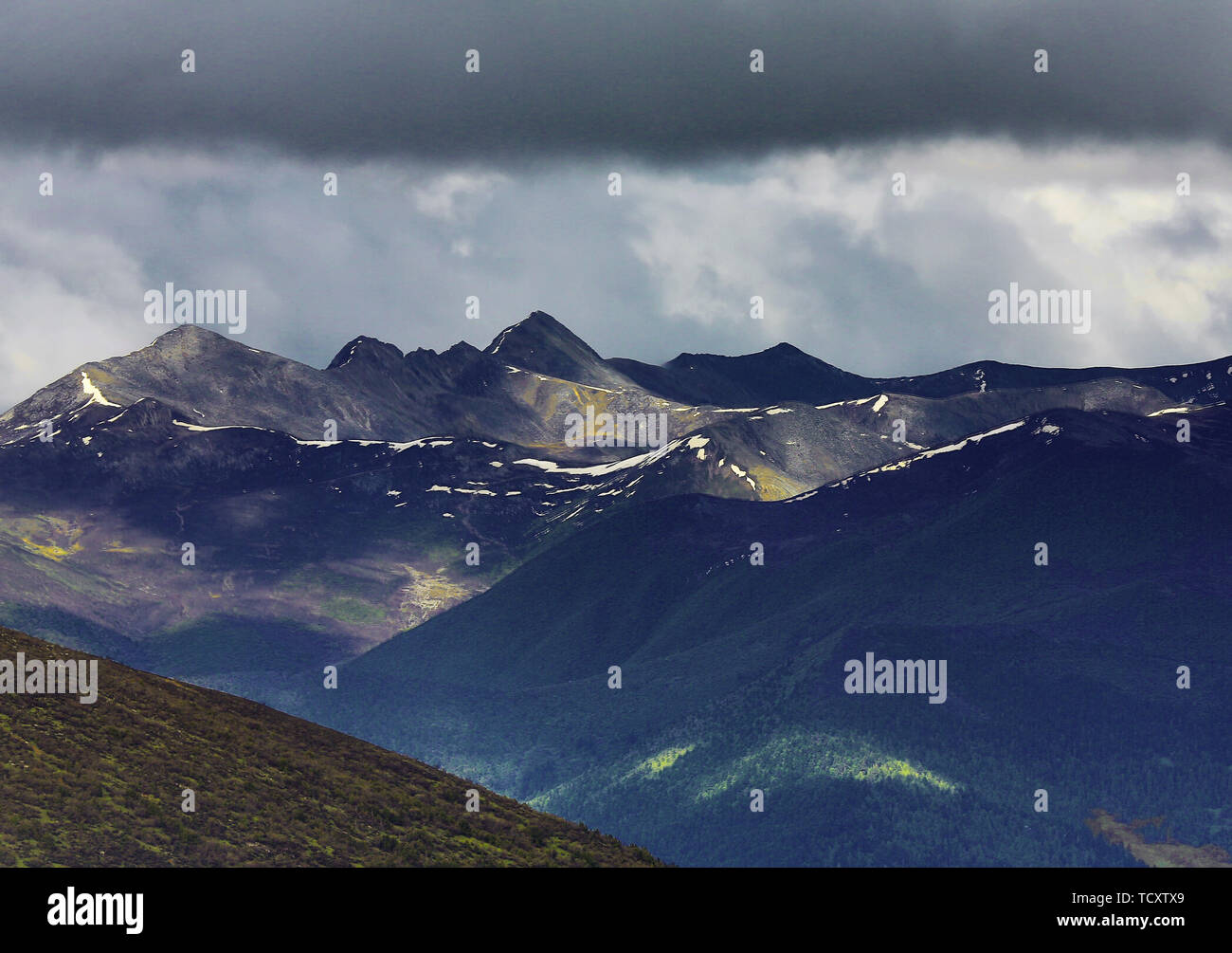 Scenery of Yingzhi Lulang Linhai, Tibet Autonomous Region, China Stock ...