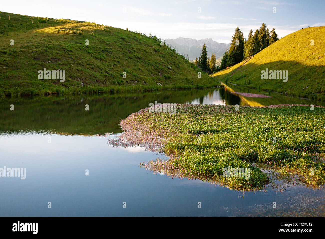Xinjiang tianshan grassland landscape hi-res stock photography and ...