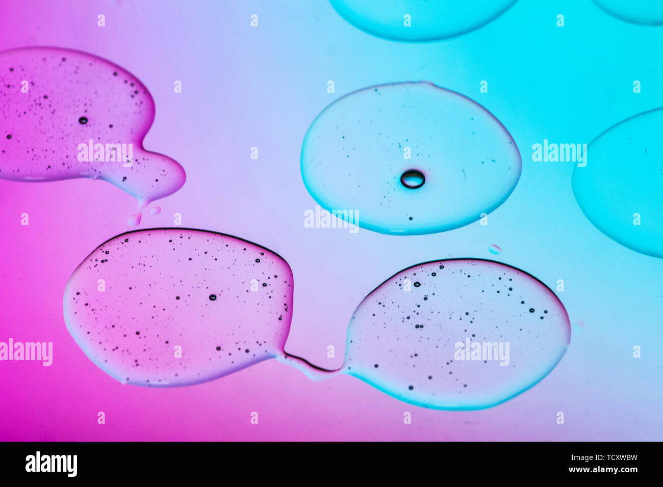 Deformation of morphology hi-res stock photography and images - Alamy