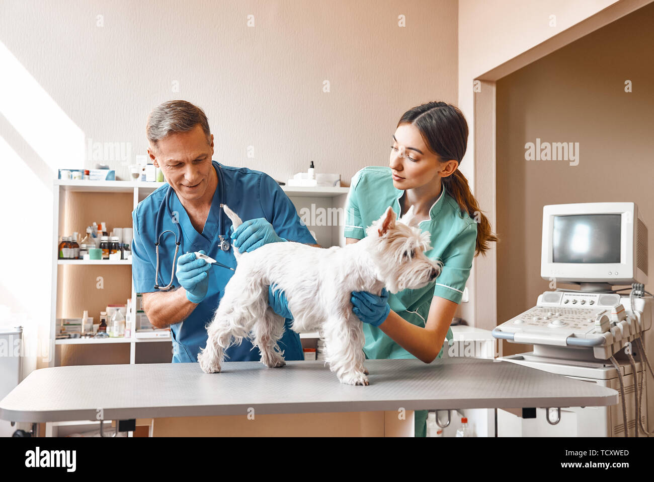 I also do not like this procedure. The veterinarian and his assistant ...