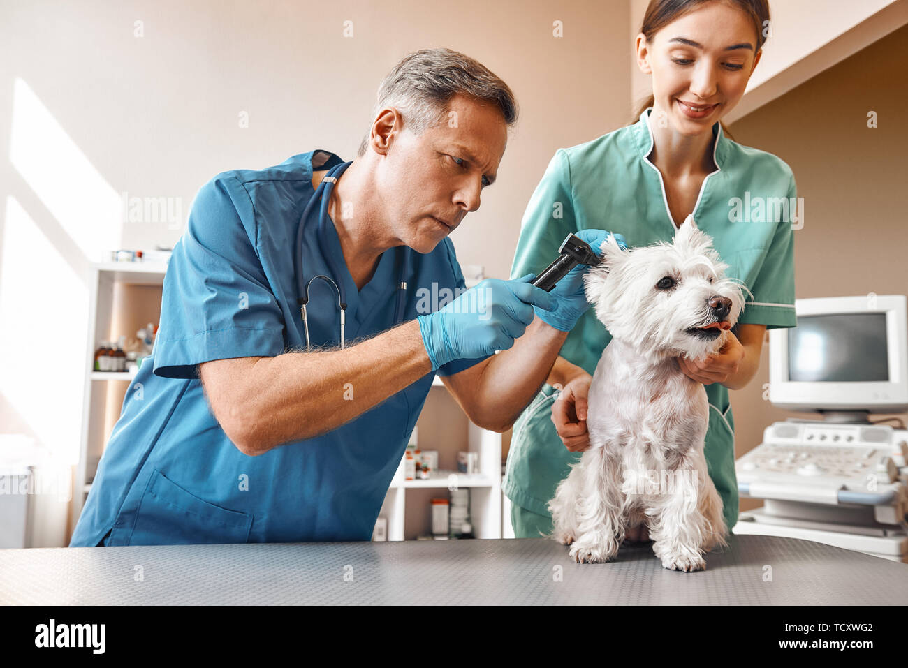 Doctor checking patient ears hi-res stock photography and images - Alamy