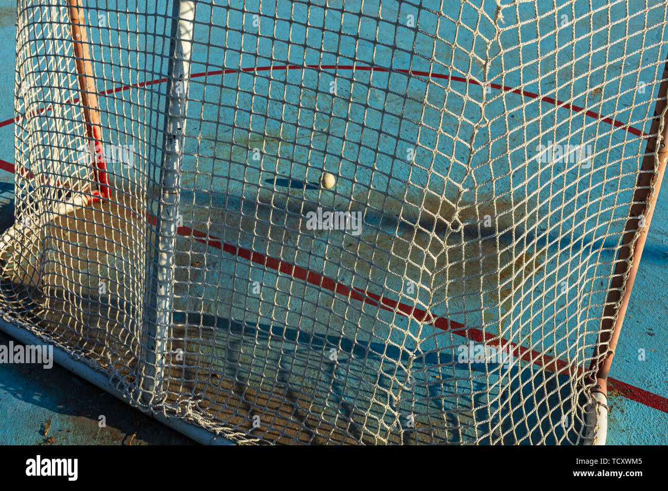 a puck stopped short of the goal line at the roller hockey rink Stock ...