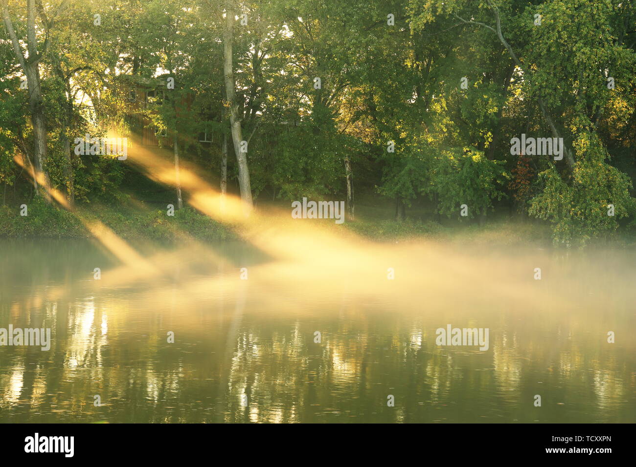Sun through the fog hi-res stock photography and images - Alamy