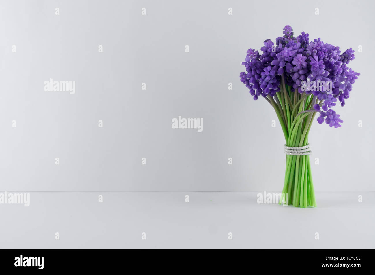 Bouquet blue muscari in hi-res stock photography and images - Alamy