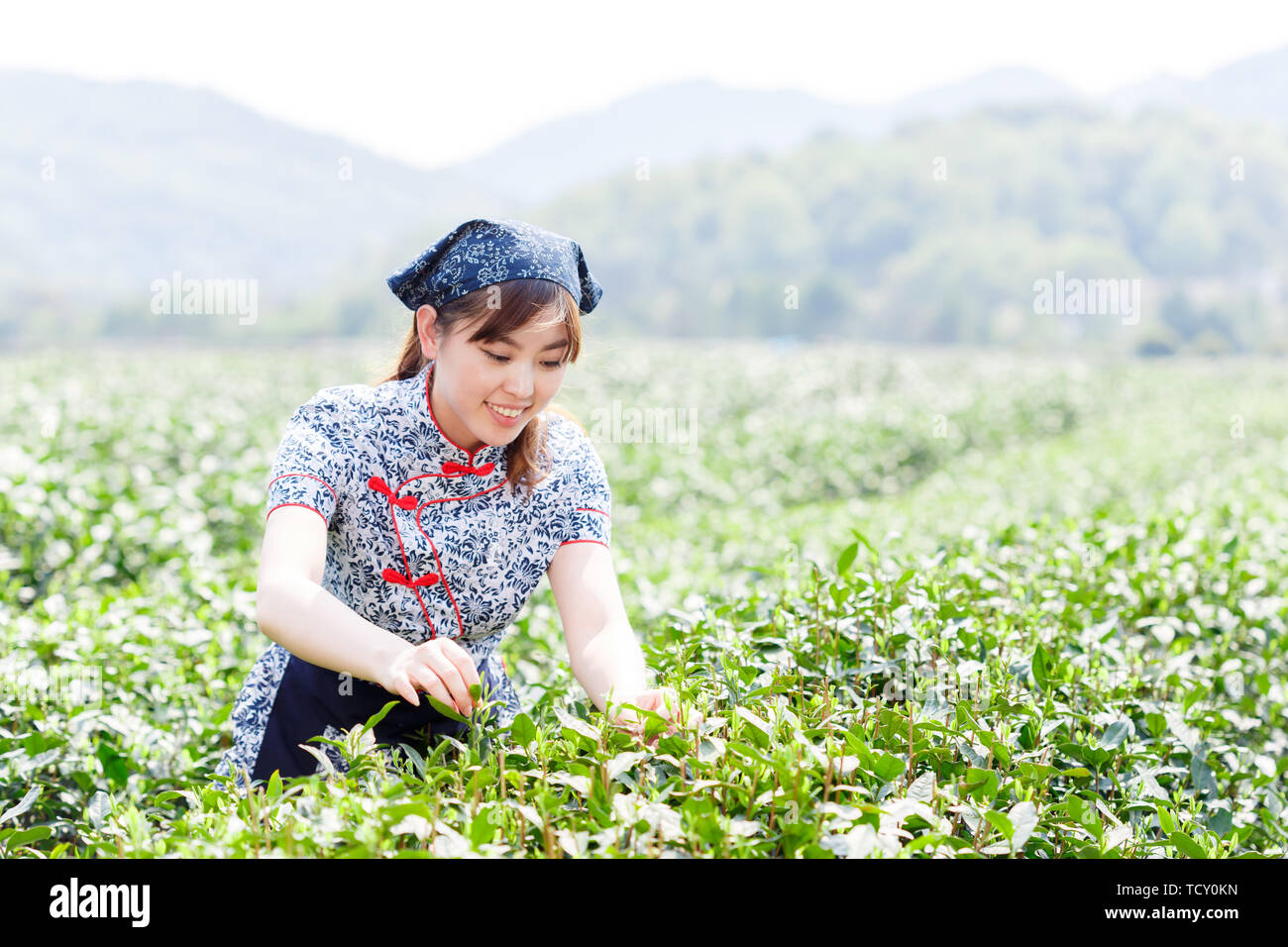 Beautiful Asian girl with tea Stock Photo - Alamy