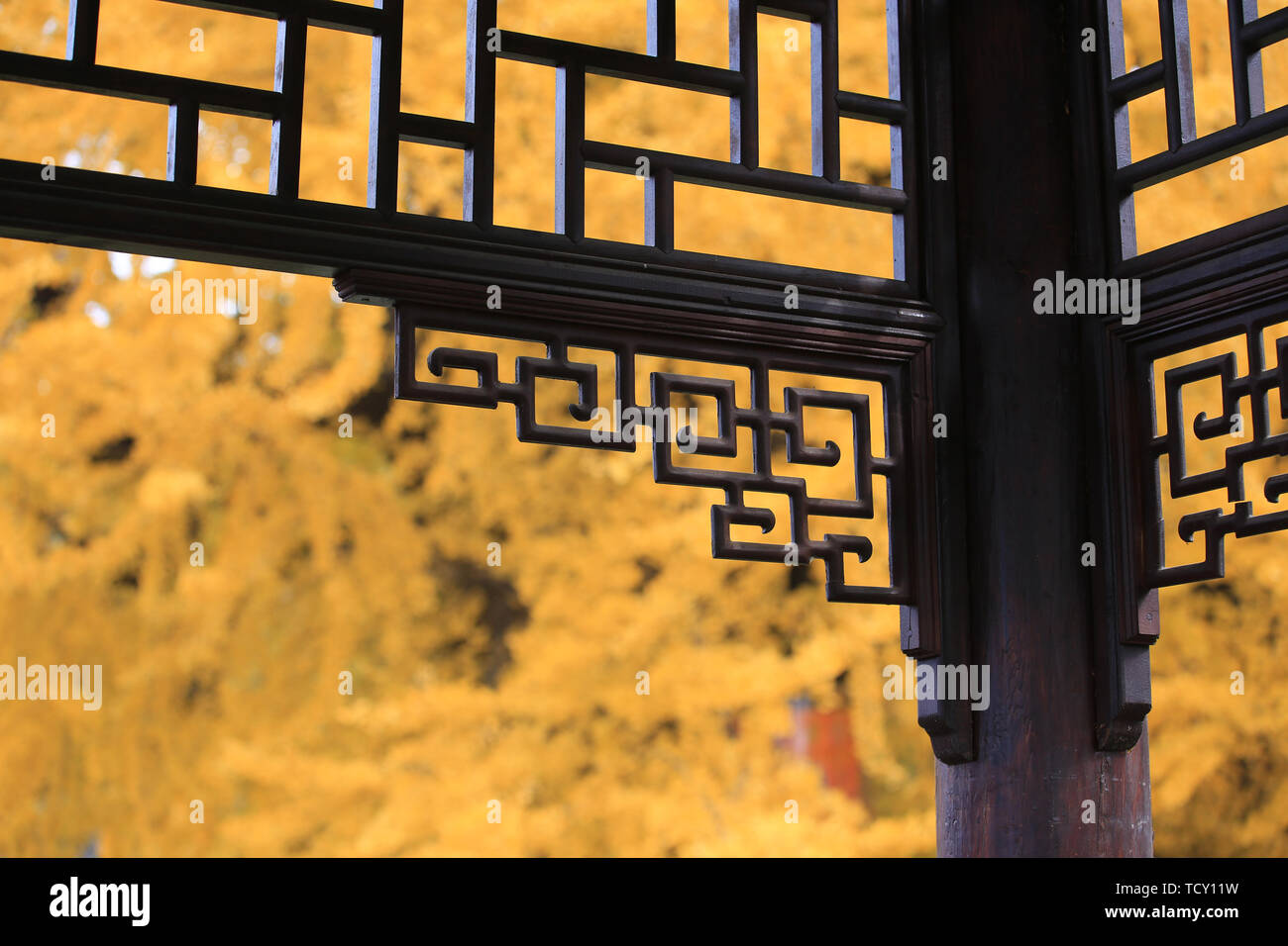Ginkgo guanyin temple hi-res stock photography and images - Alamy