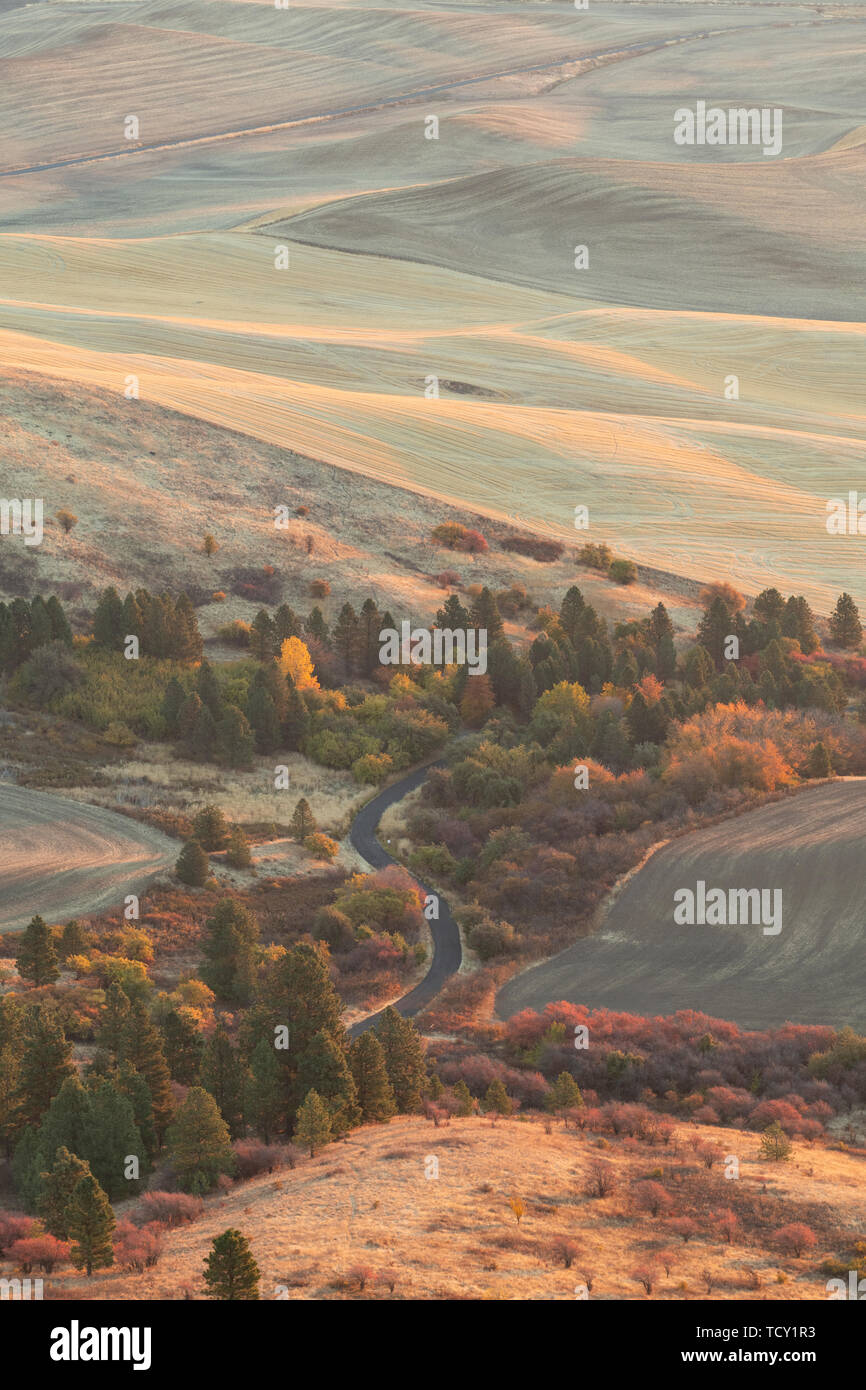 Farmland in the Palouse, Palouse, Washington State, United States of ...