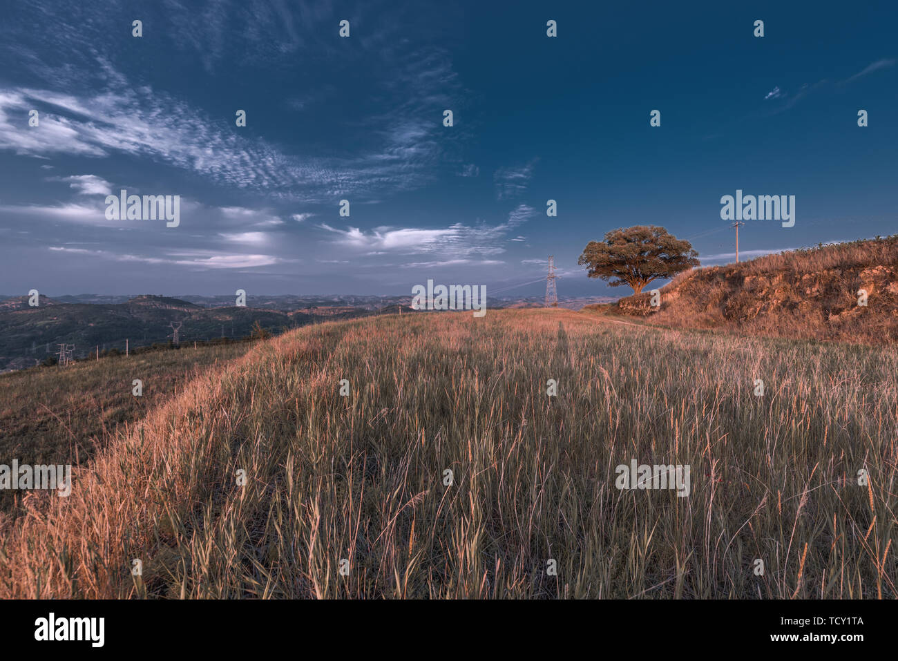 Natural ecological scenery Stock Photo - Alamy
