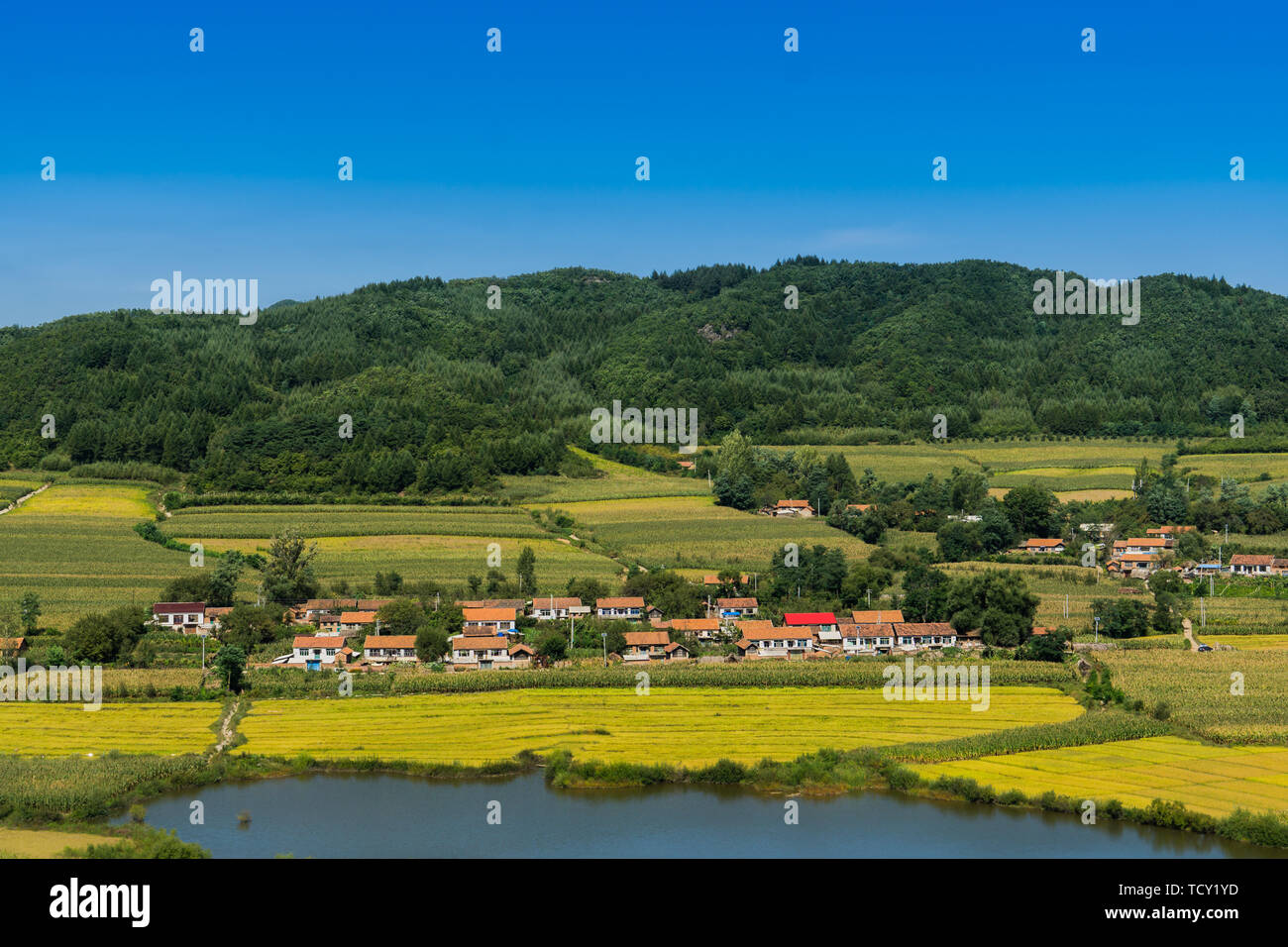 Fall country fields Stock Photo - Alamy