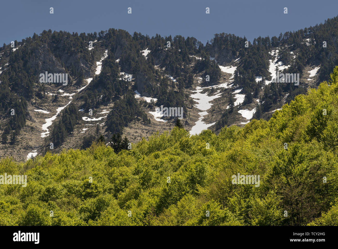 Europe, France, Hautes-Pyrénées , 06-2019, The Western Pyrenees ...