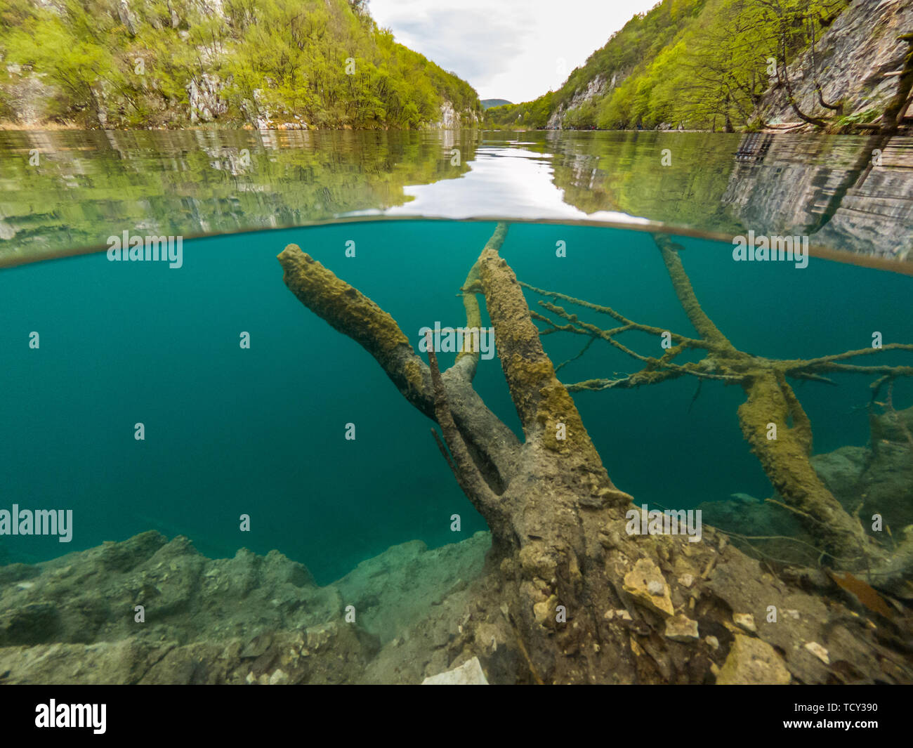 Amazing split view of lake with sunken tree trunk Stock Photo - Alamy