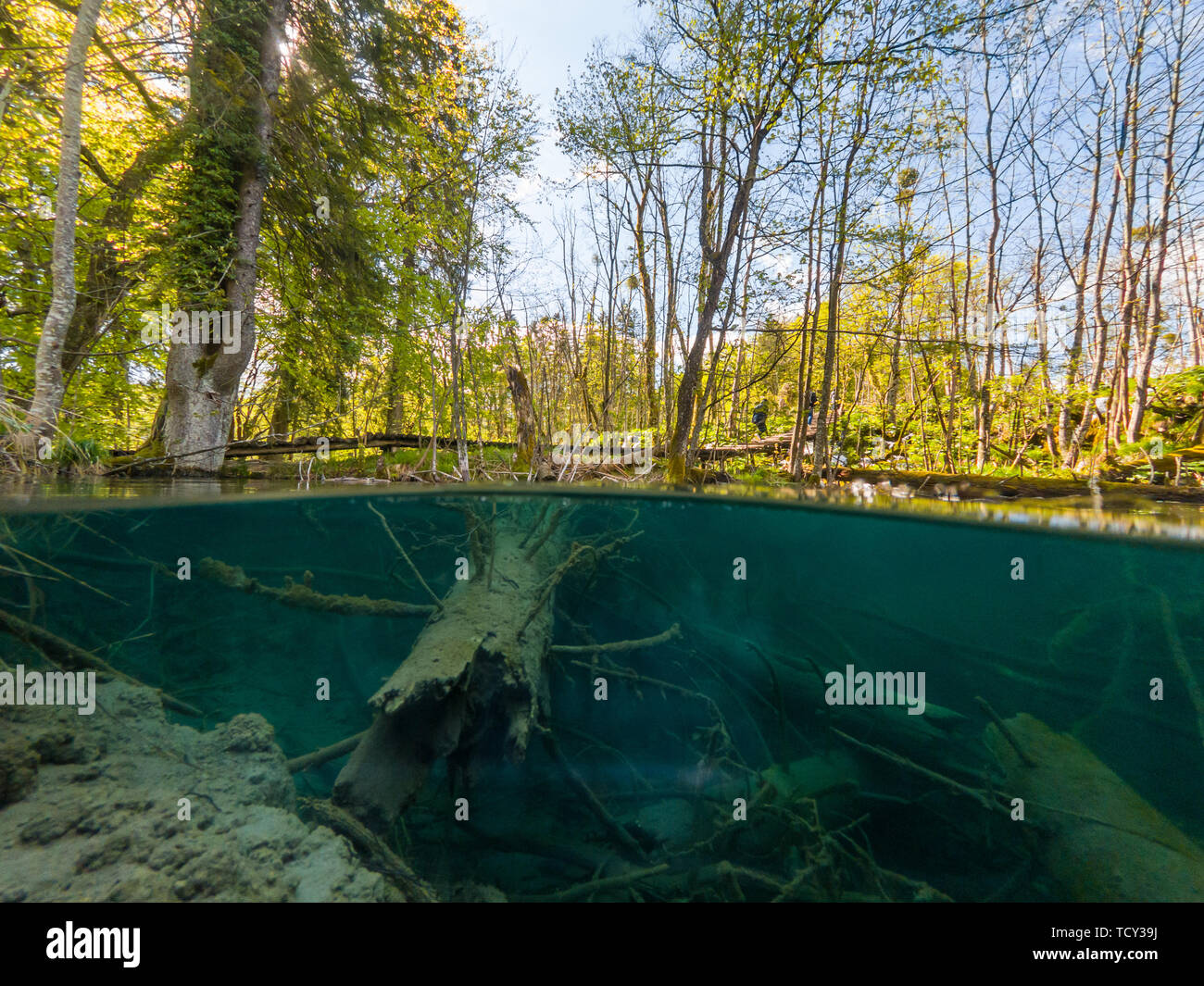 Amazing split view of lake with sunken tree trunk Stock Photo - Alamy