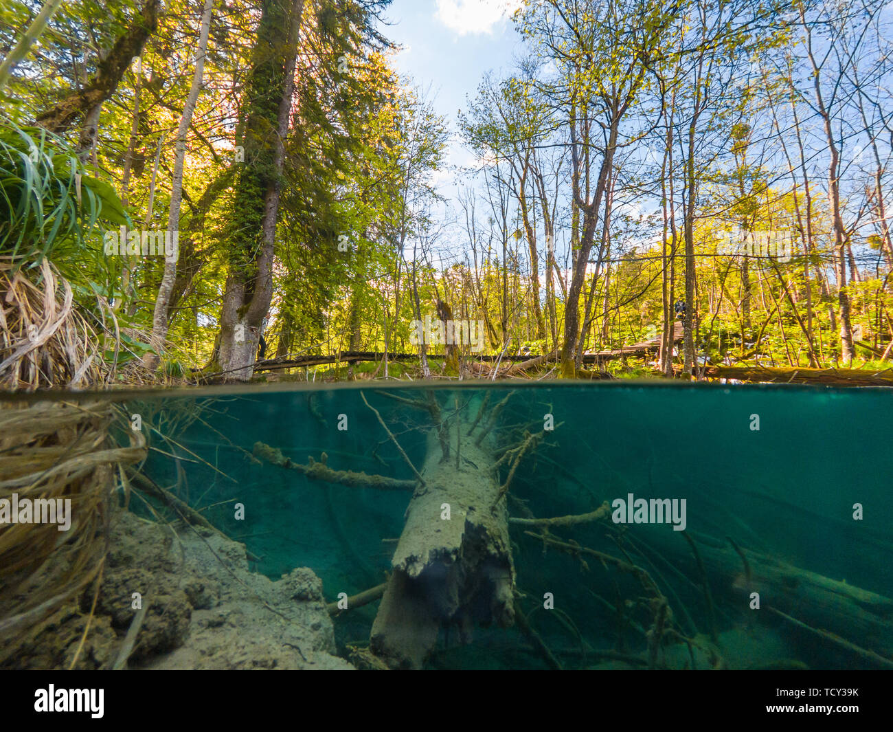 Amazing split view of lake with sunken tree trunk Stock Photo - Alamy