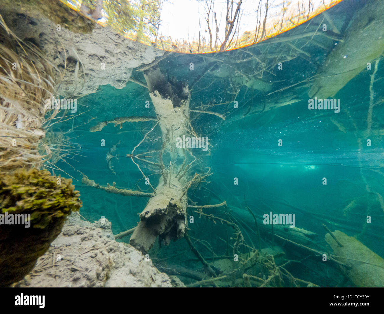 Amazing split view of lake with sunken tree trunk Stock Photo - Alamy